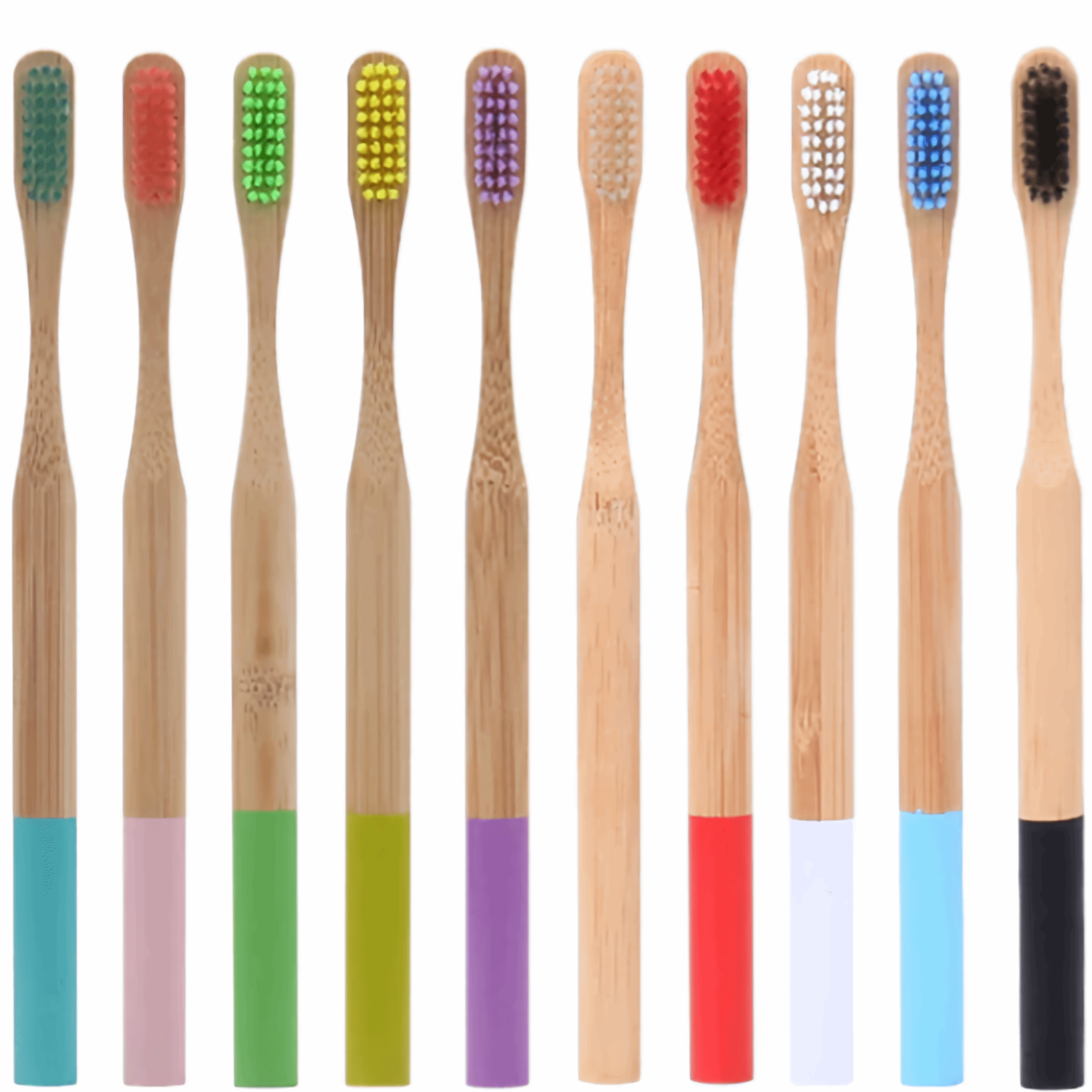 Round Handle Bamboo Toothbrush – ReminTeeth